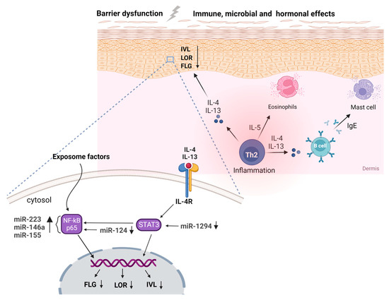 Intrinsic Effects of Exposome in Atopic Dermatitis: Genomics, Epigenomics and Regulatory Layers
