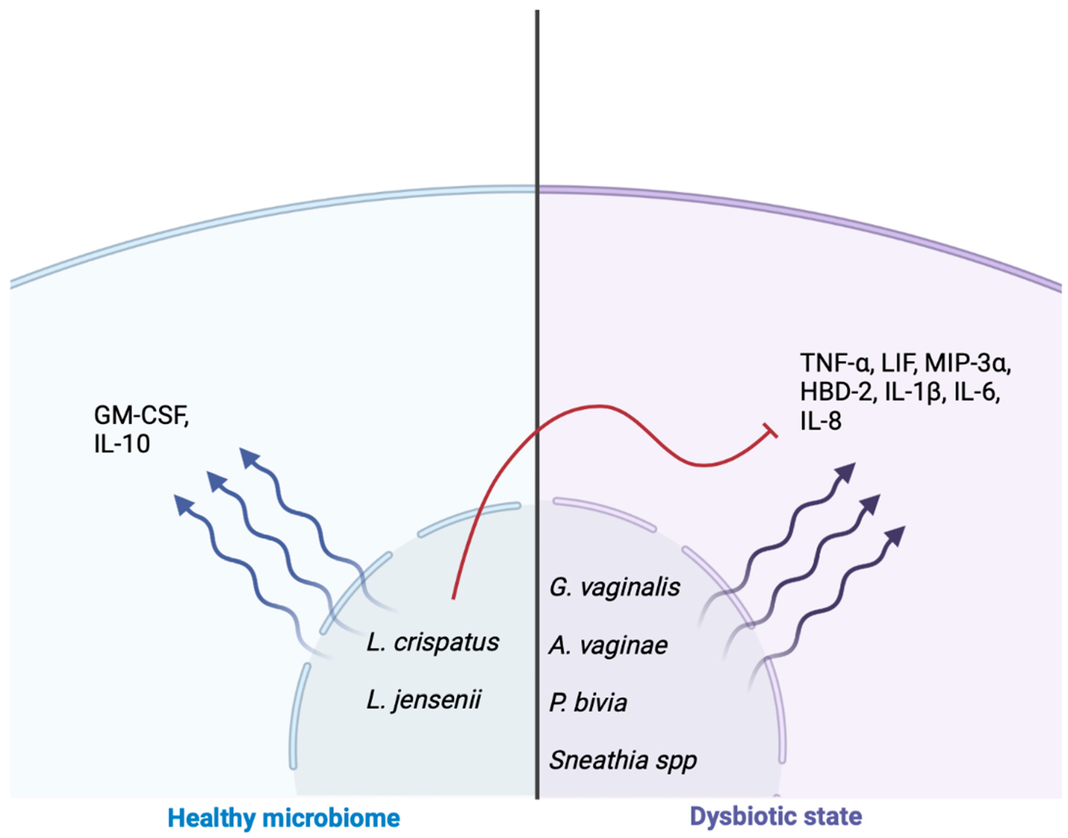 Cycle Biodynamics of Women’s Microbiome in the Urinary and Reproductive ...