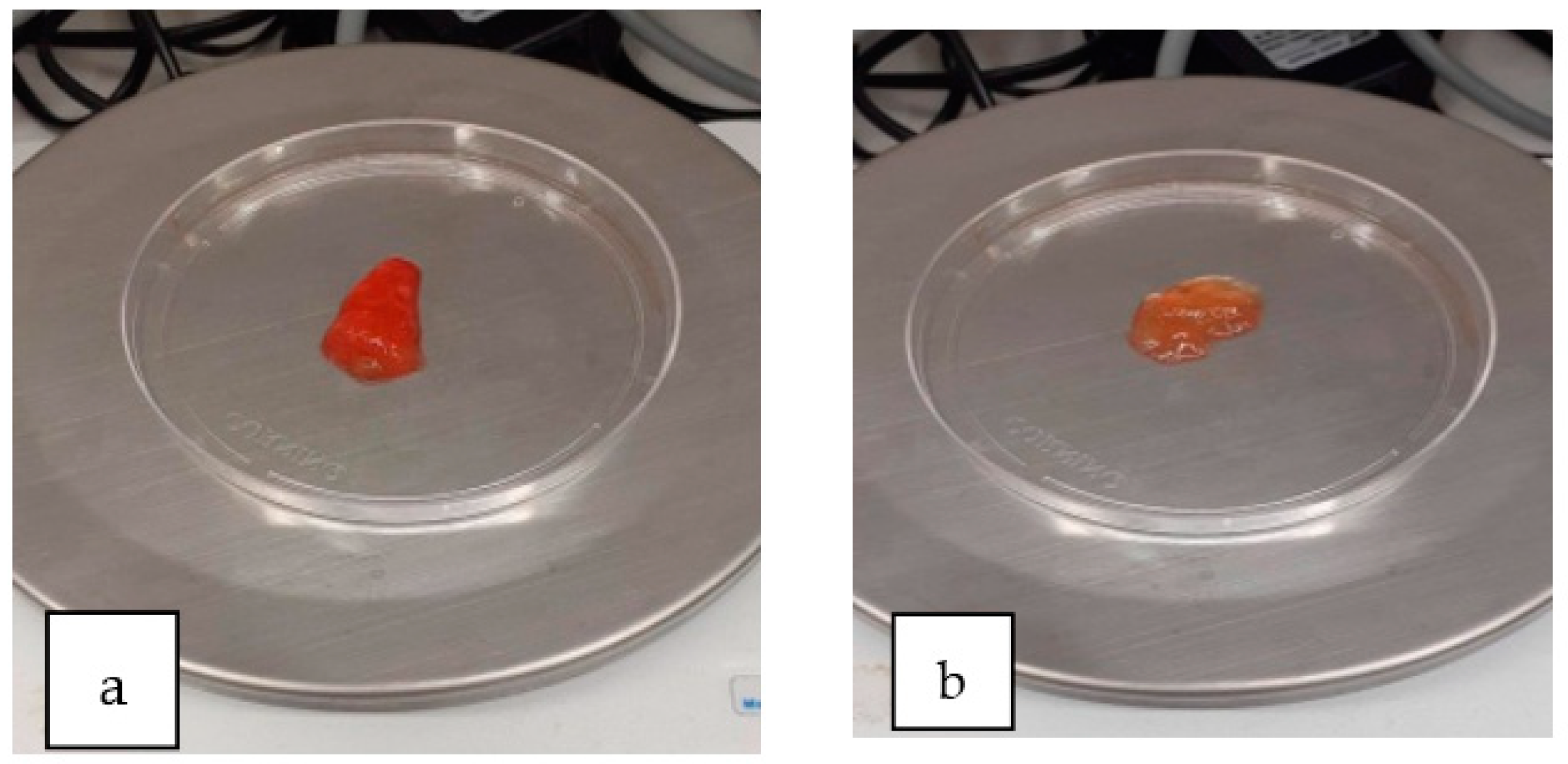 JCM | Free Full-Text | Under the Hood: Understanding the Features of ...