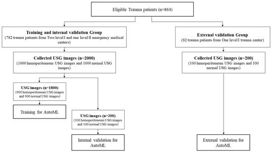 Use of Automated Machine Learning for Classifying Hemoperitoneum on ...