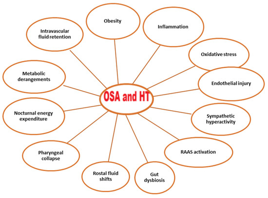 A Narrative Review of the Association of Obstructive Sleep Apnea with ...