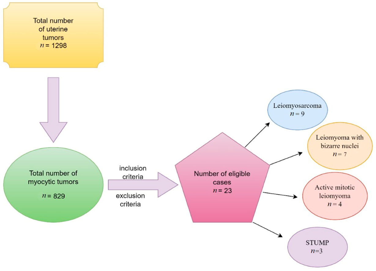 JCM | Free Full-Text | The Role of Pathogenesis Associated with the ...