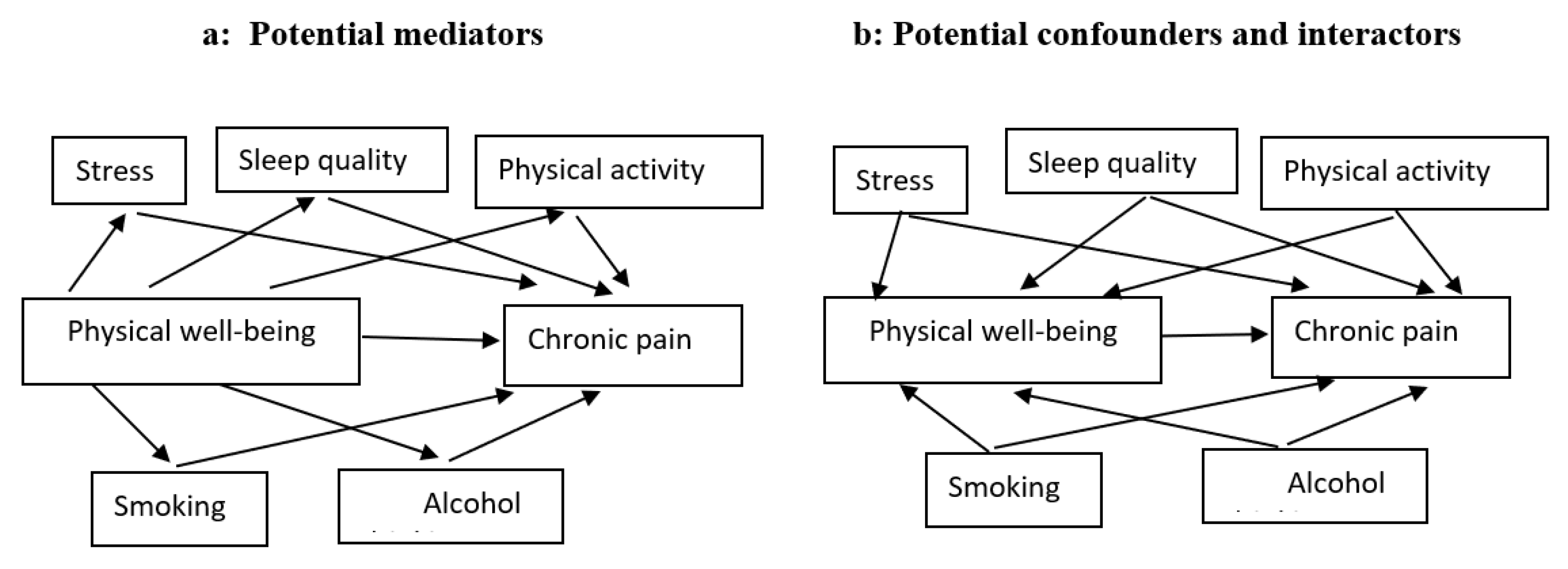 Factors Contributing to the Link between Physical Well-Being and ...