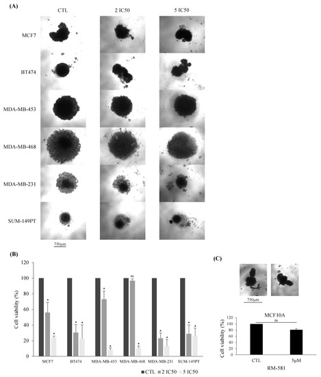 Aminosteroid RM-581 Decreases Cell Proliferation of All Breast Cancer ...