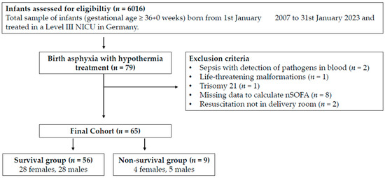 Early Prediction of Mortality after Birth Asphyxia with the nSOFA