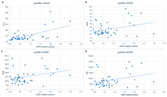 Intimal CD31-Positive Relative Surfaces Are Associated with Systemic ...