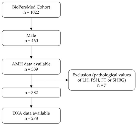 AMH in Males: Effects of Body Size and Composition on Serum AMH Levels