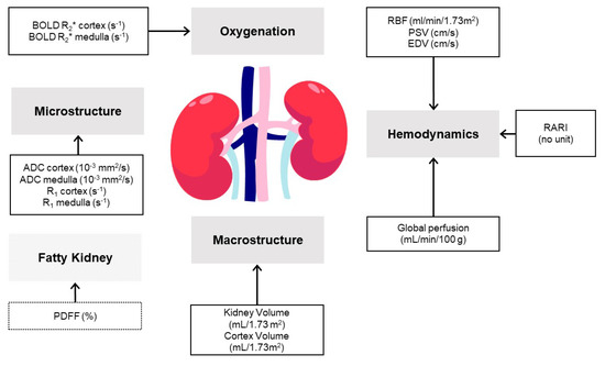 JCM | Free Full-Text | Magnetic Resonance Imaging in Clinical Trials of ...
