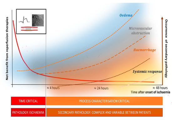 Prospects for Precision Medicine in Acute Myocardial Infarction ...
