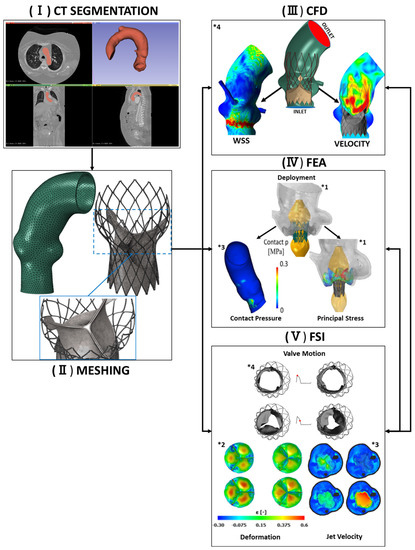 Latest Developments in Adapting Deep Learning for Assessing TAVR ...