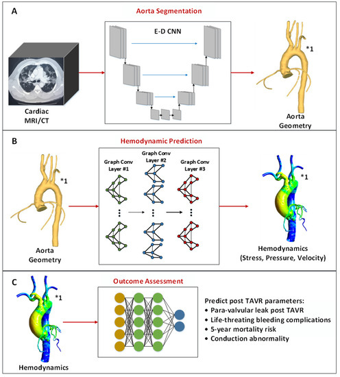 Latest Developments in Adapting Deep Learning for Assessing TAVR ...