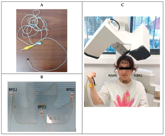 Determination of Mandibular Position and Mouth Opening in Healthy ...