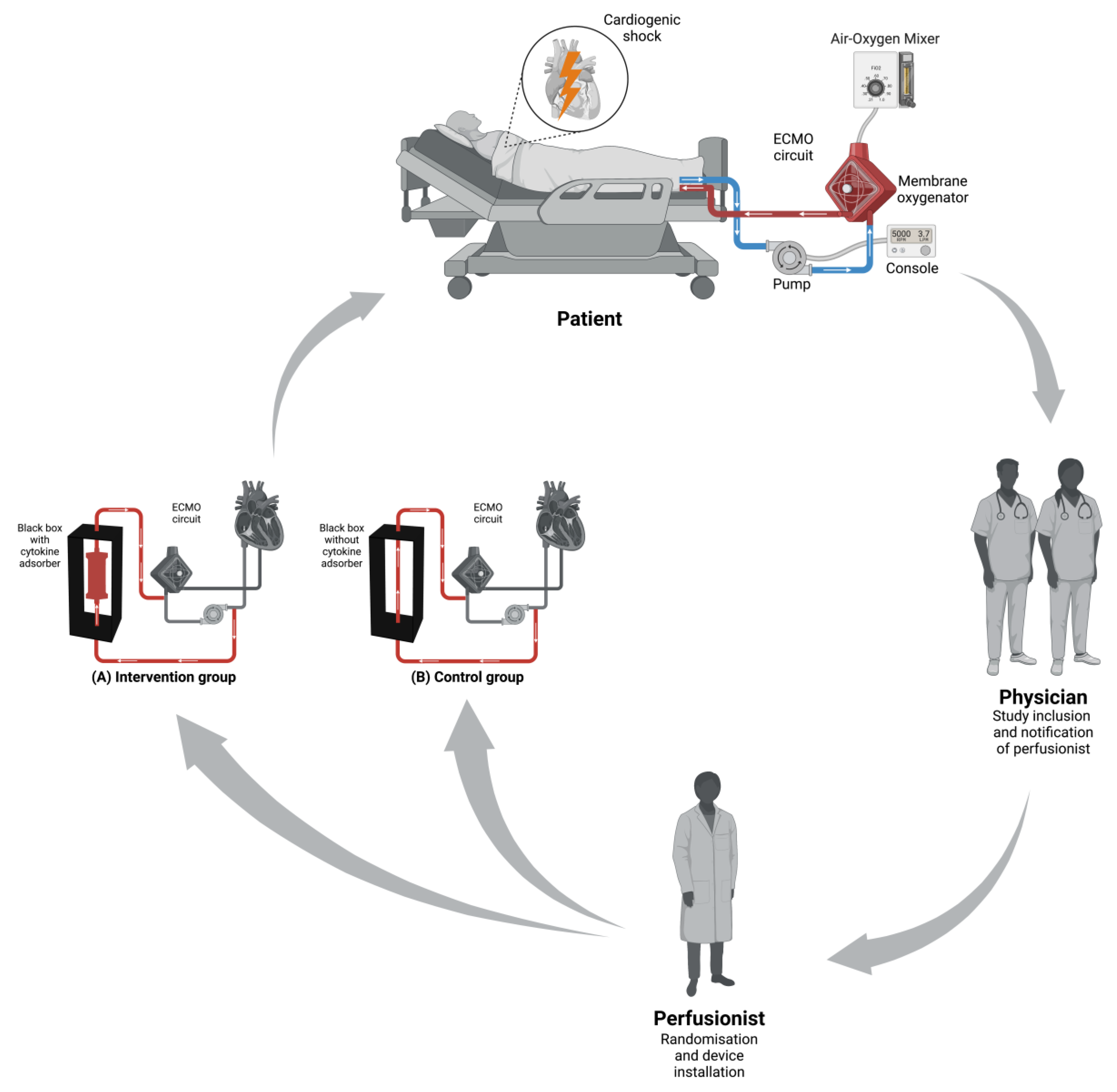 Impact of a VA–ECMO in Combination with an Extracorporeal Cytokine ...