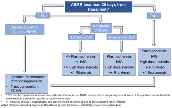 Current Therapies in Kidney Transplant Rejection