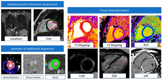 JCM | Free Full-Text | The Role of Advanced Cardiovascular Imaging ...