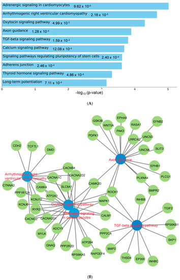 Circulating microRNA Profiles for Premature Cardiovascular Death in ...