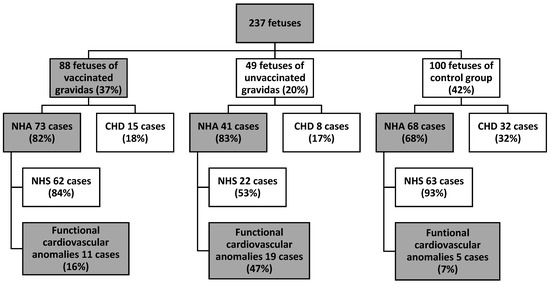 Fetal Cardiac Hemodynamic and Sonographic Anomalies in Maternal COVID ...