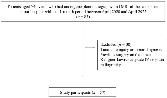 Evaluation of Medial Meniscal Extrusion Using Radiography