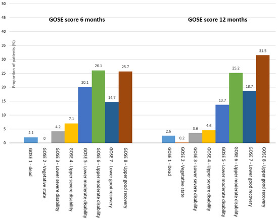 Functional Outcomes at 6 and 12 Months Post-Injury in a Trauma Centre ...
