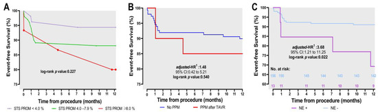 Real-Life Performance and Clinical Outcomes of Portico Transcatheter ...