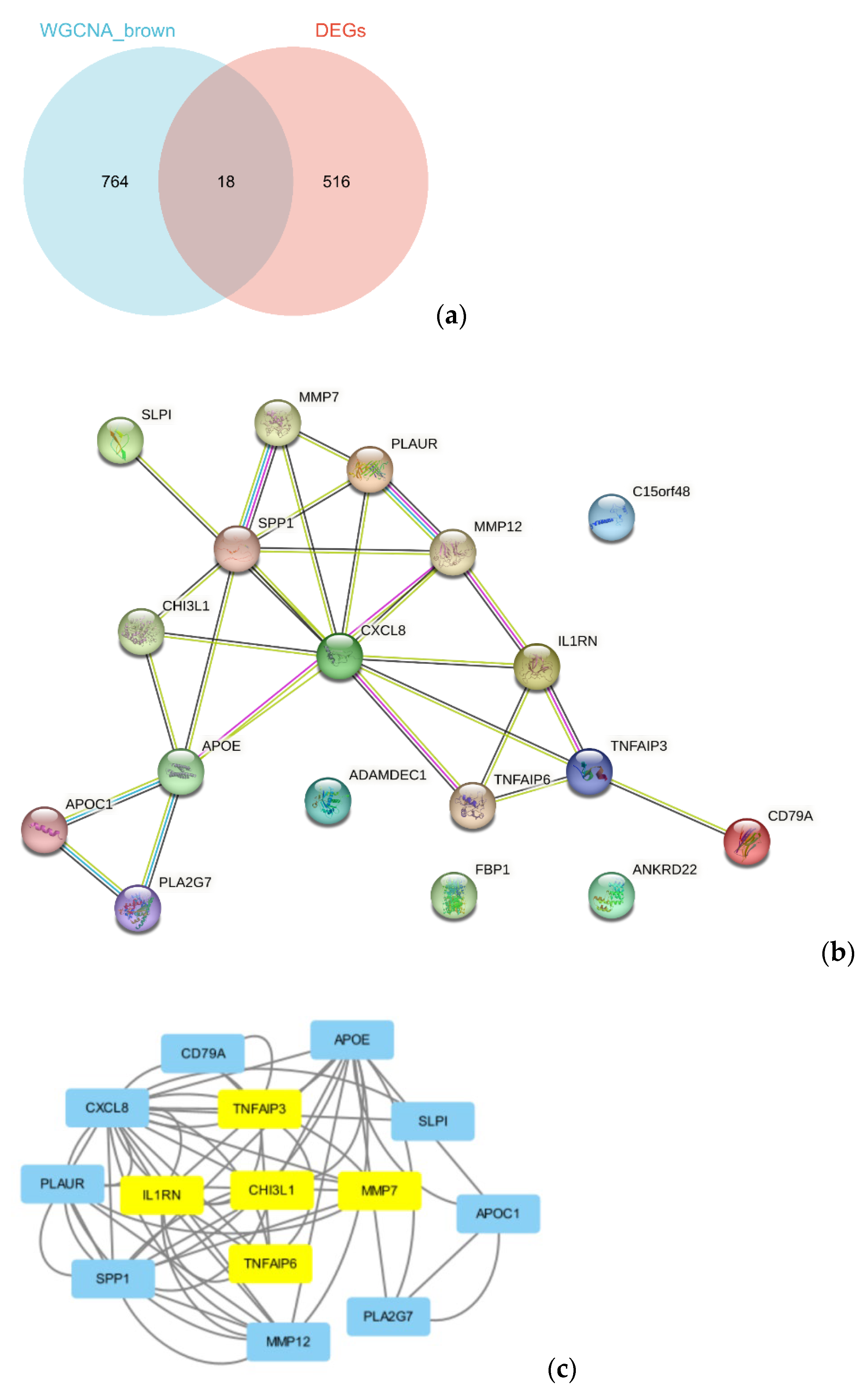 Tissue RNA Sequencing Reveals Novel Biomarkers Associated with ...