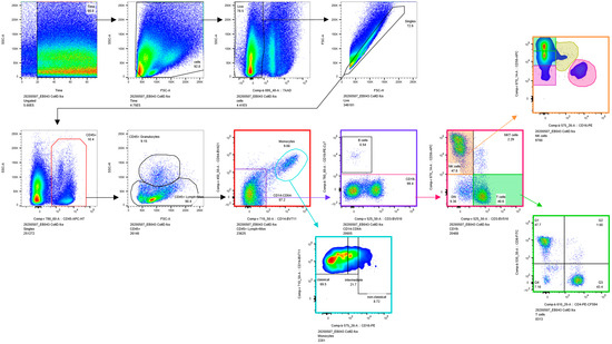 NK and T Cell Subtypes in the Endometrium of Patients with Recurrent ...