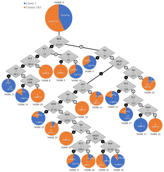 Hepatic Involvement across the Metabolic Syndrome Spectrum: Non-Invasive Assessment and Risk ...