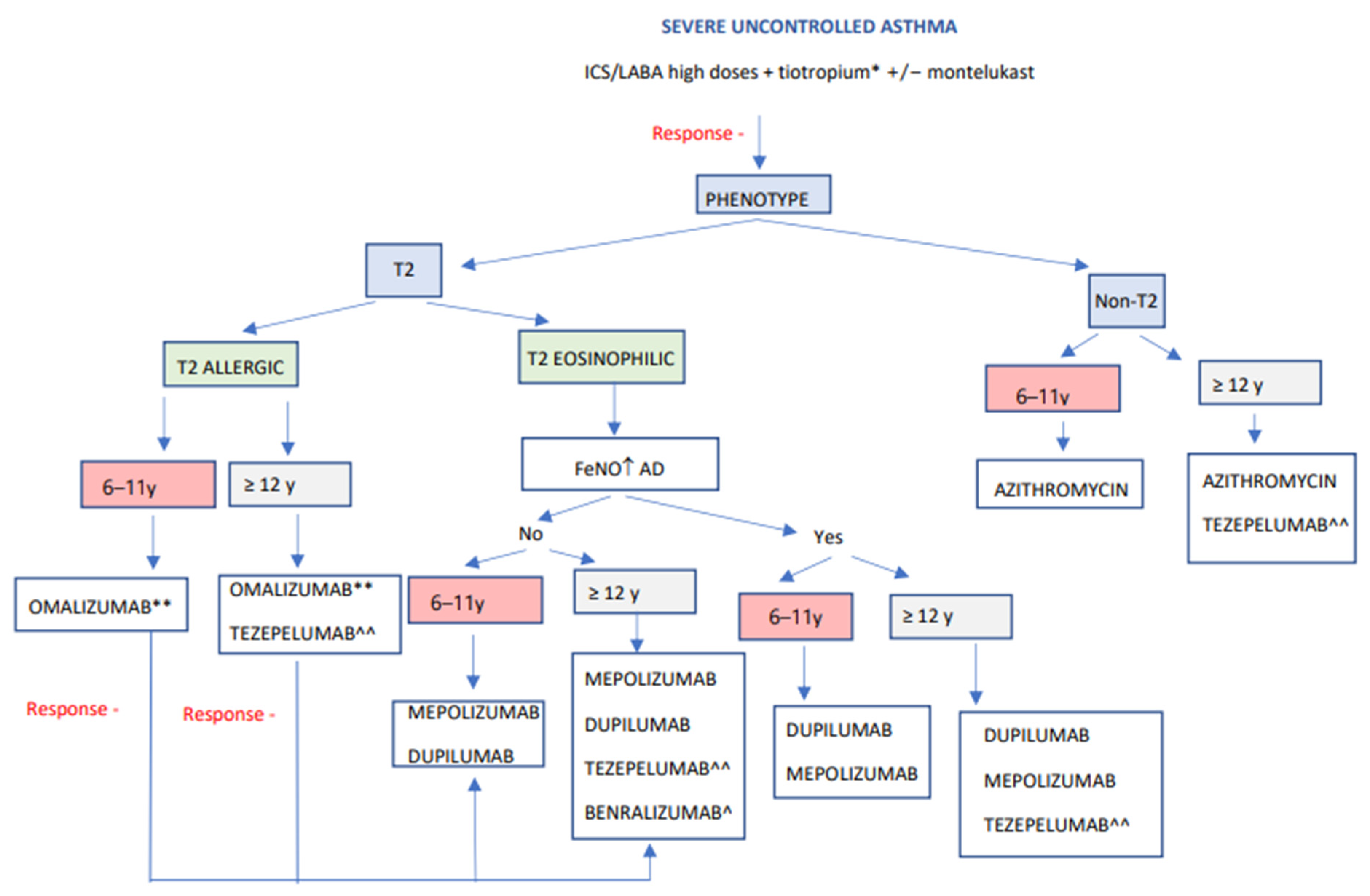 Severe Asthma and Biological Therapies: Now and the Future
