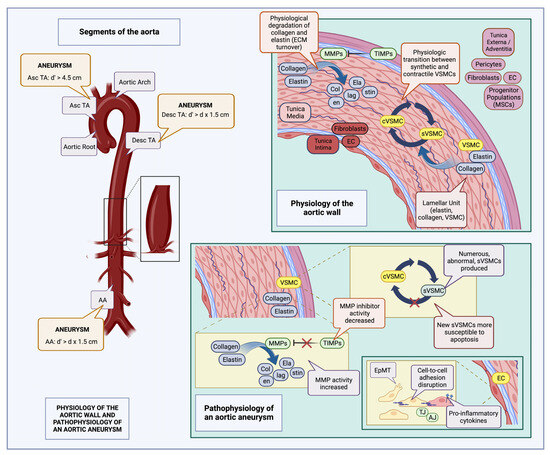 JCM | Free Full-Text | Promising Novel Therapies in the Treatment of ...