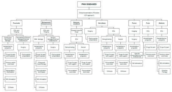 JCM | Free Full-Text | Rehabilitation of Peripheral Neuropathies: From ...