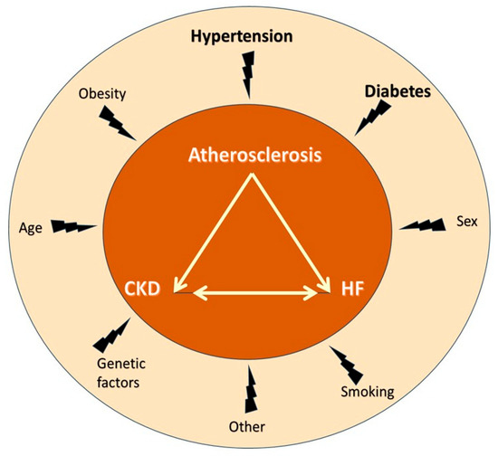 Heart Failure in Patients with Chronic Kidney Disease