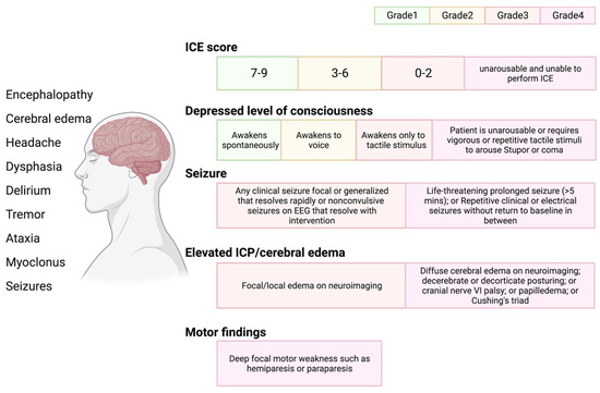 Side Effects Mechanism of CAR-T Cell Therapy | Encyclopedia MDPI