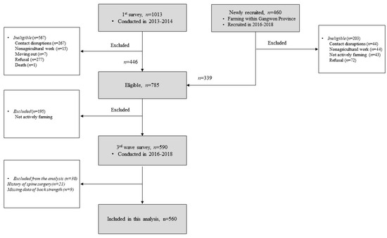 Back Extensor Strength as a Potential Marker of Frailty Using ...