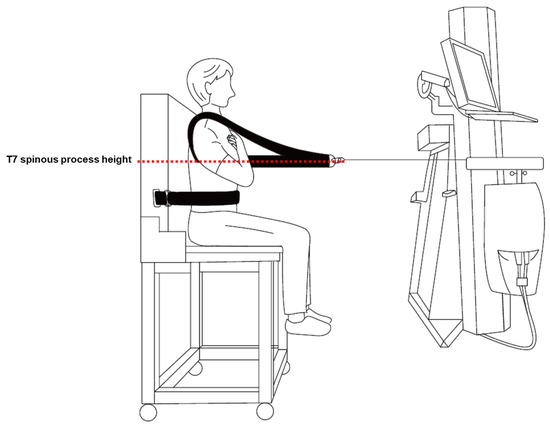 Back Extensor Strength as a Potential Marker of Frailty Using ...