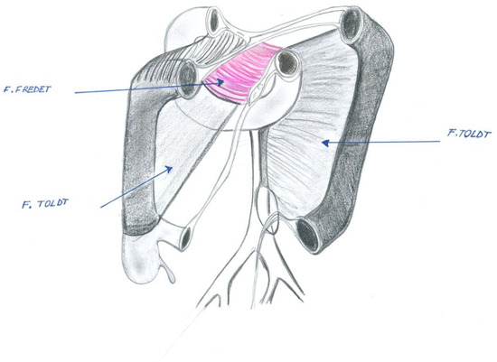 A Systematic Review of Varying Definitions and the Clinical ...