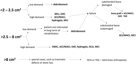 JCM | Free Full-Text | Knee Cartilage Lesion Management—Current Trends ...