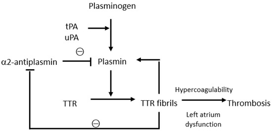 Thromboembolic and Bleeding Events in Transthyretin Amyloidosis and ...