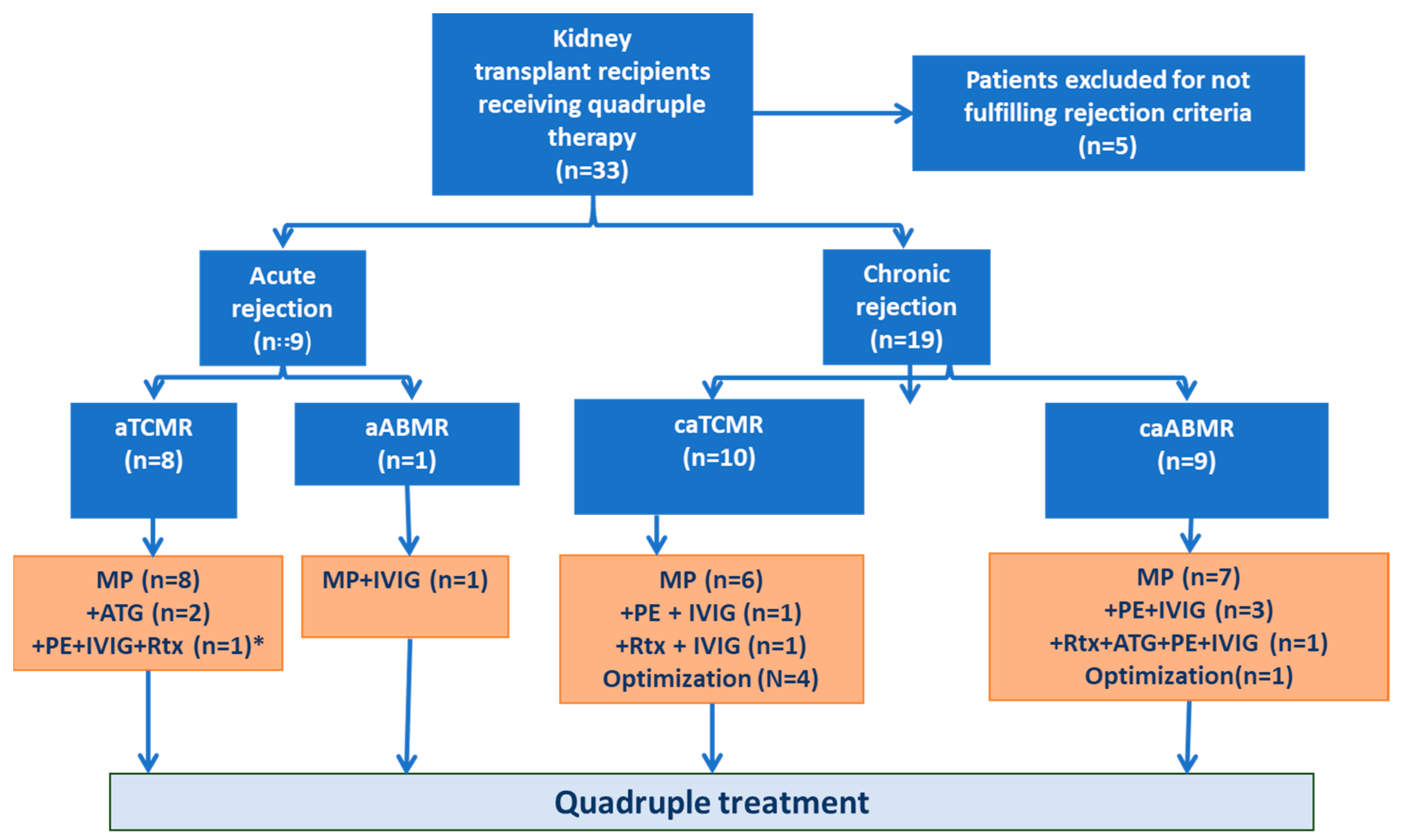 Difficult-to-Treat Rejections in Kidney Transplant Recipients: Our ...