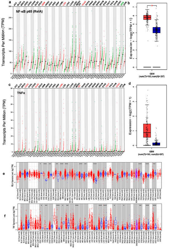 JCM | Free Full-Text | Celecoxib Suppresses NF-κB p65 (RelA) and TNFα ...