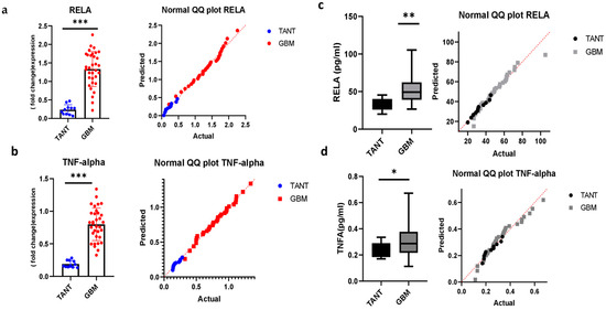 JCM | Free Full-Text | Celecoxib Suppresses NF-κB p65 (RelA) and TNFα ...