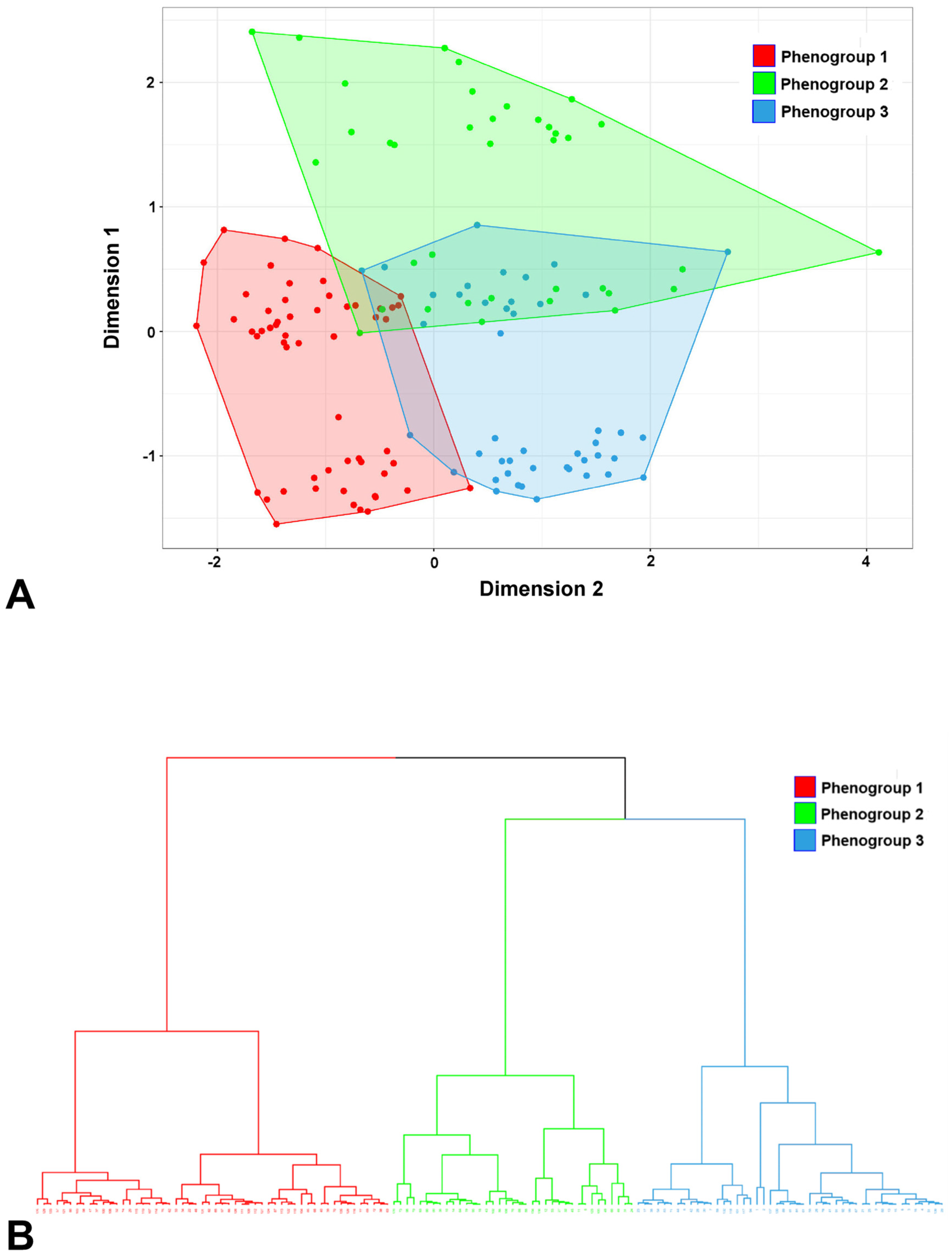 JCM | Free Full-Text | Phenotypic Clustering of Beta-Thalassemia Intermedia Patients Using ...