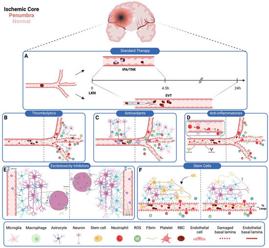 JCM | Free Full-Text | Evolving Clinical–Translational Investigations of Cerebroprotection in ...
