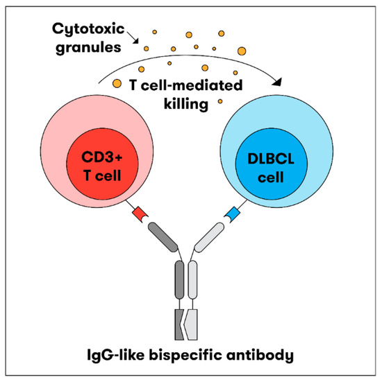 T-Cell Engaging Antibodies in Diffuse Large B Cell Lymphoma—An Update