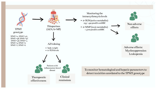 The Role of Pharmacogenetics in the Therapeutic Response to Thiopurines ...
