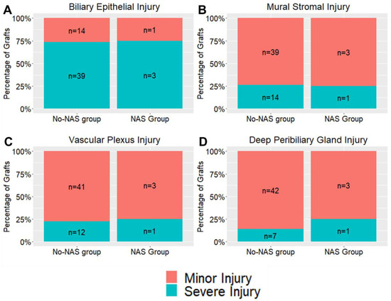 Histological Assessment of the Bile Duct before Liver Transplantation ...
