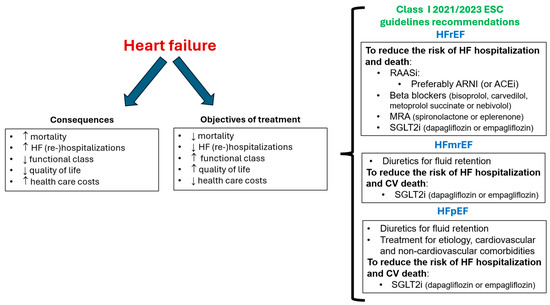 Current Role of SLGT2 Inhibitors in the Management of the Whole ...