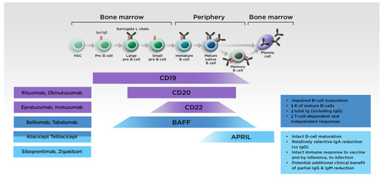 A PRoliferation-Inducing Ligand (APRIL) in the Pathogenesis of ...