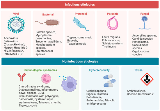 JCM | Free Full-Text | Biomarkers in Acute Myocarditis and Chronic ...