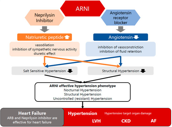 JCM | Free Full-Text | Polypill Therapy for Cardiovascular Disease ...
