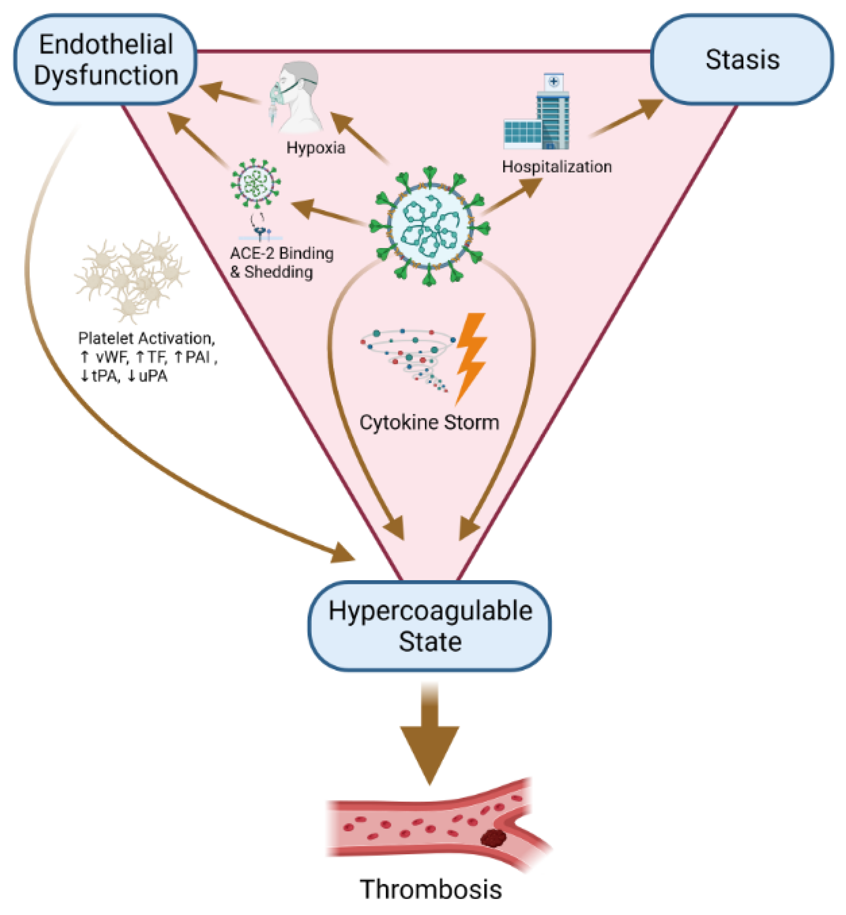 COVID-19 and the Concept of Thrombo-Inflammation: Review of the ...